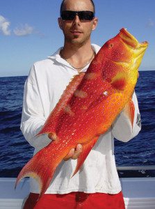 Guide to landing coronation trout - BNB Fishing Mag
