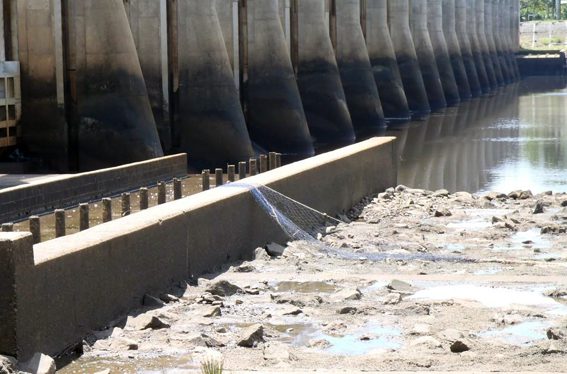 Fitzroy River Barrage off limits to all fishing - Bush 'n Beach Fishing ...