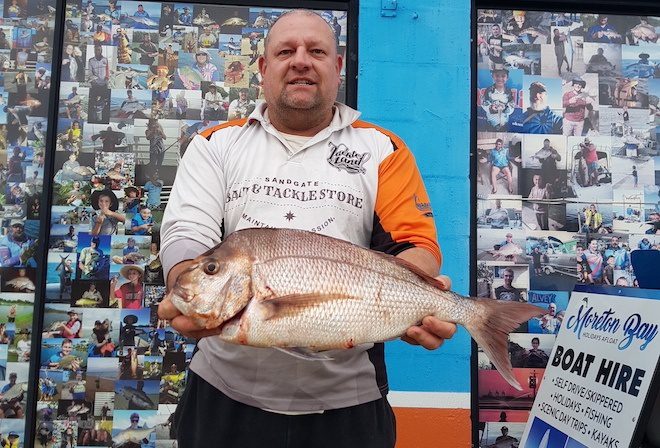 Moreton Bay dishing up diversity - Bush 'n Beach Fishing Magazine