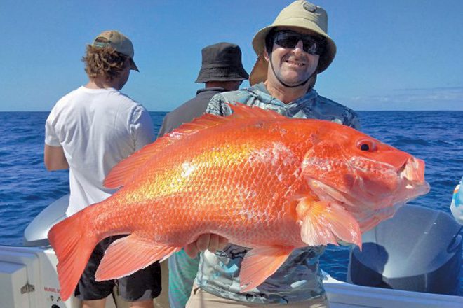 Mix of methods for mackerel – summer options - Bush 'n Beach Fishing ...