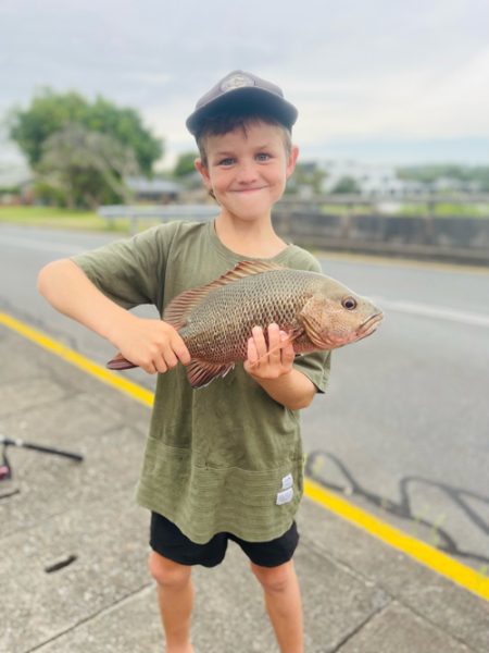 Gold Coast Coomera – weekly report - Bush 'n Beach Fishing Magazine
