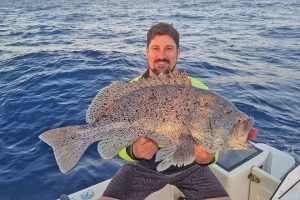 Reef fish Bundaberg - Bush 'n Beach Fishing Magazine