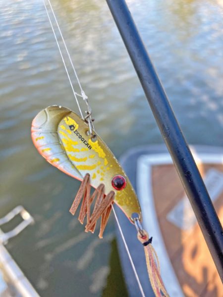 Cracking lure colour codes - Bush 'n Beach Fishing Magazine