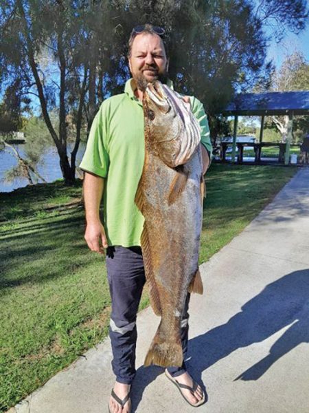 Twenty-four seven jewfish - Bush 'n Beach Fishing Magazine