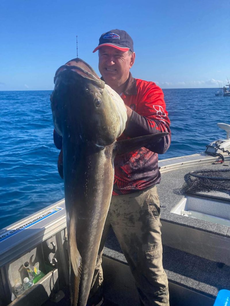 Bundaberg – weekly fishing report - #bnbfishingmag