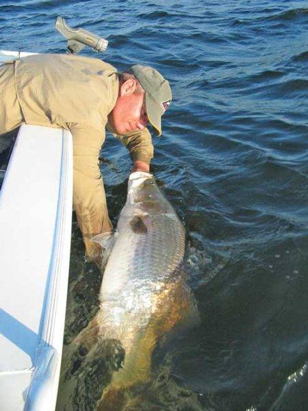 Beginners’ guide to dam barra - Bush 'n Beach Fishing Magazine