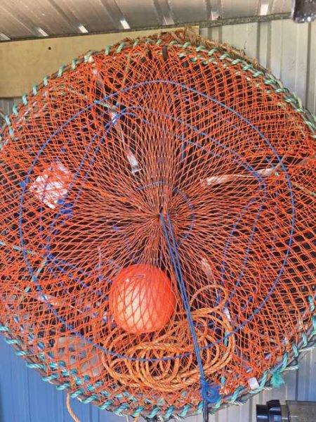 Tips for catching mud crabs - Bush 'n Beach Fishing Magazine