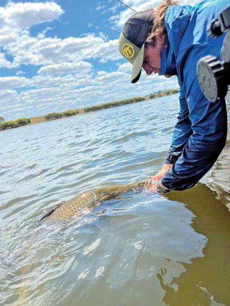 Lake Monduran barramundi fishing guide - Bush 'n Beach Fishing Magazine