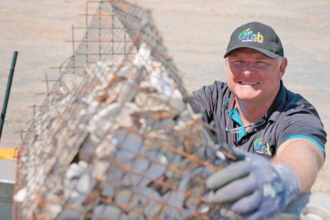 Bringing oyster reefs back - Bush 'n Beach Fishing Magazine